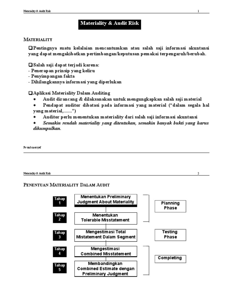 Audit Materiality | PDF