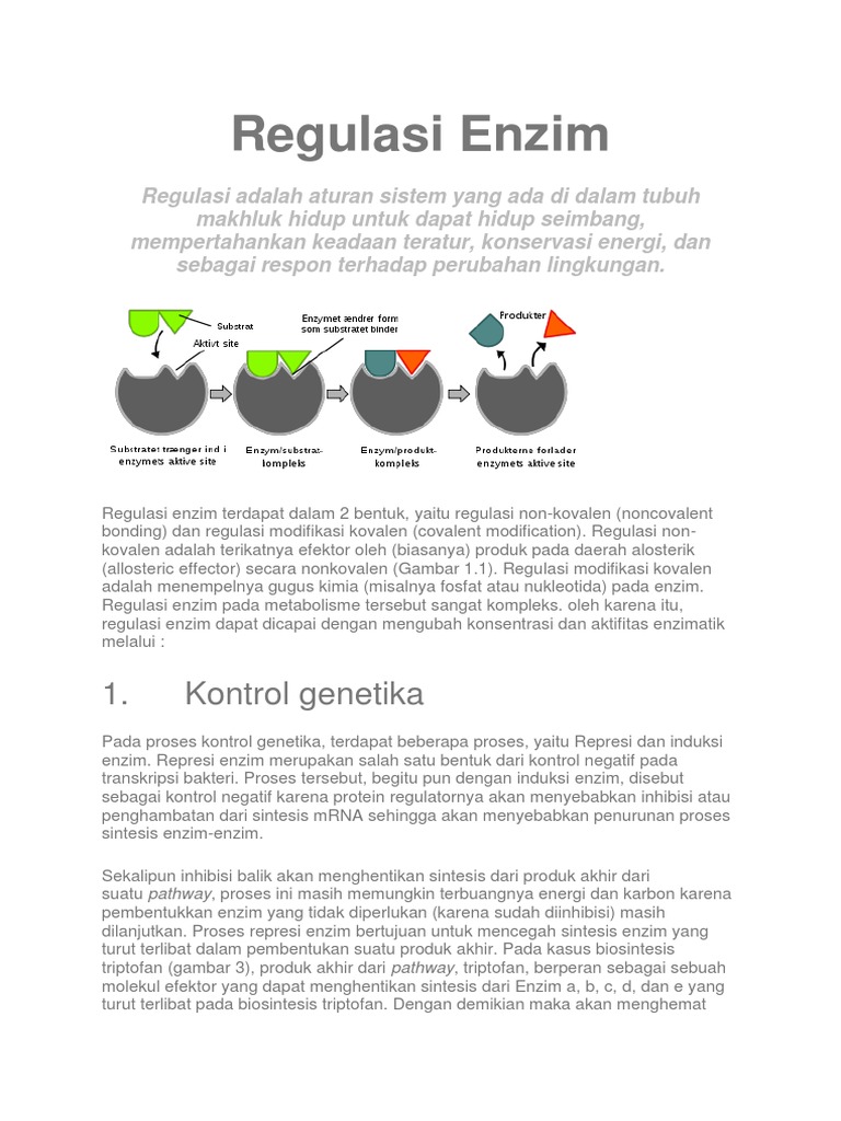 Regulasi Enzim | PDF | Pengembangan Diri | Kesehatan Holistik