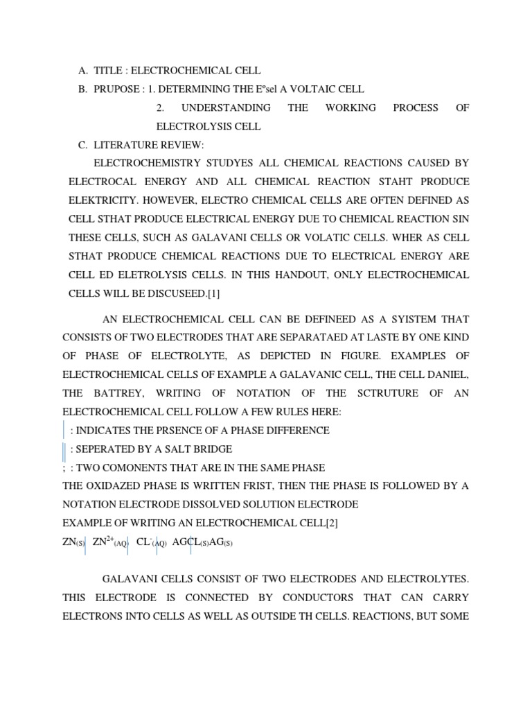 Electrochemical Cells | PDF | Redox | Electrochemistry
