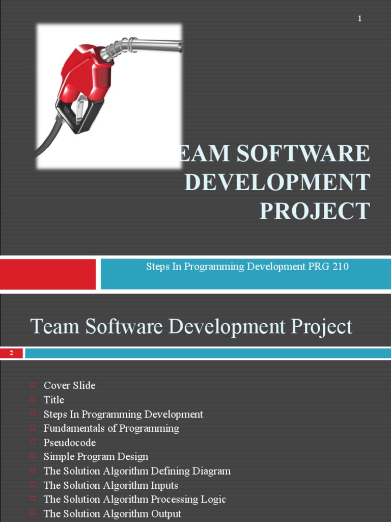 Team Software Development Project: Steps in Programming Development PRG ...