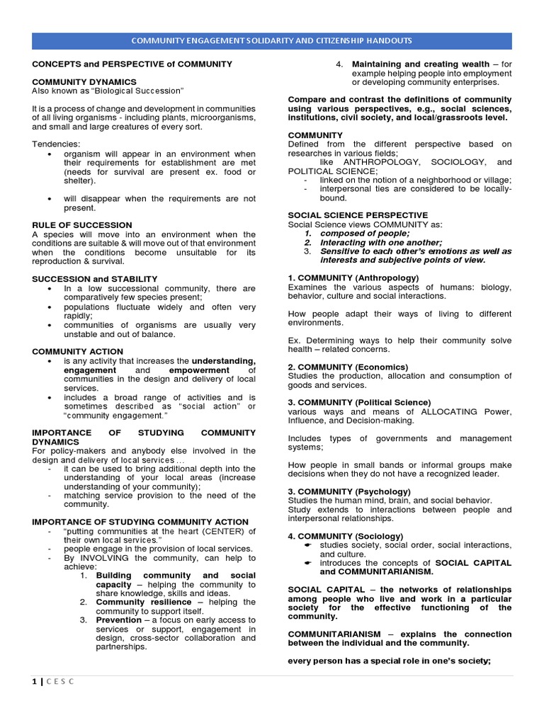 Understanding Community Dynamics: Perspectives on What Defines ...
