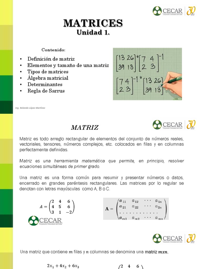 Introducción a las matrices: conceptos básicos | PDF | Matriz ...