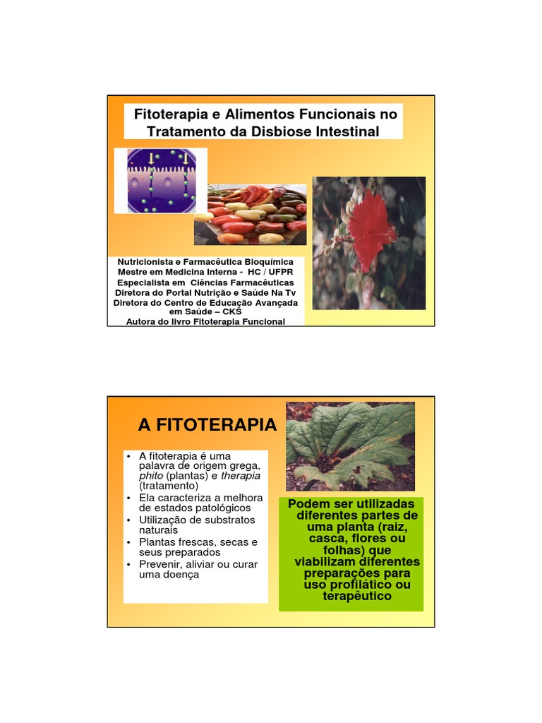 Fitoterapia e Alimentos Funcionais No Tratamento Da Disbiose Intestinal ...