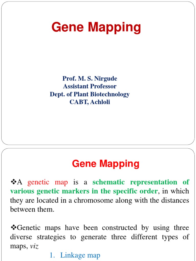 Gene Mapping | PDF | Genetic Linkage | Fluorescence In Situ Hybridization