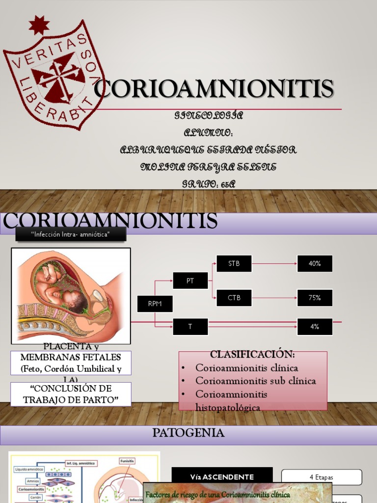 CORIOAMNIONITIS | PDF | Feto | Embarazo humano