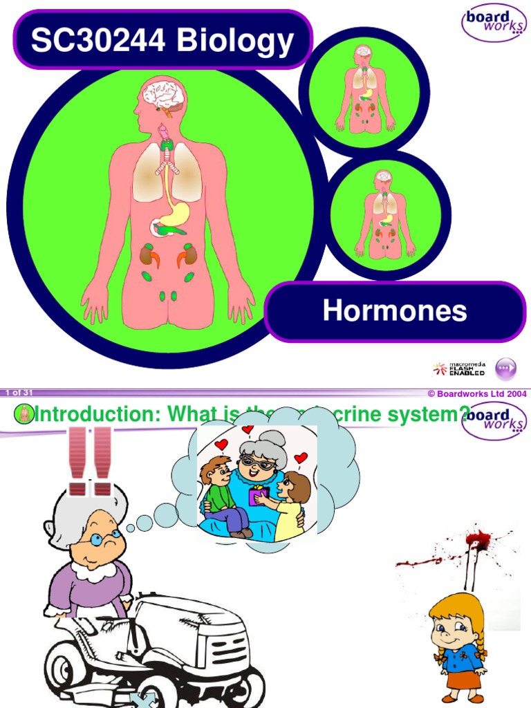 m6 Endocrine System - Lesson 1 Hormones | PDF | Hormone | Endocrine System