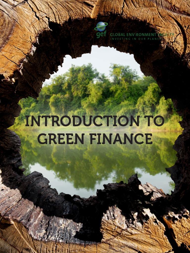 Intro To Green Finance | PDF | Equity (Finance) | Bonds (Finance)