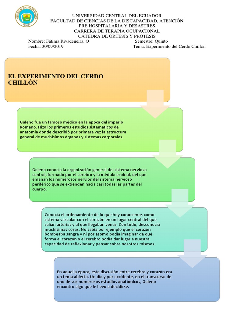 Experimento Del Cerdo Chillon | PDF | Cerebro | Corazón