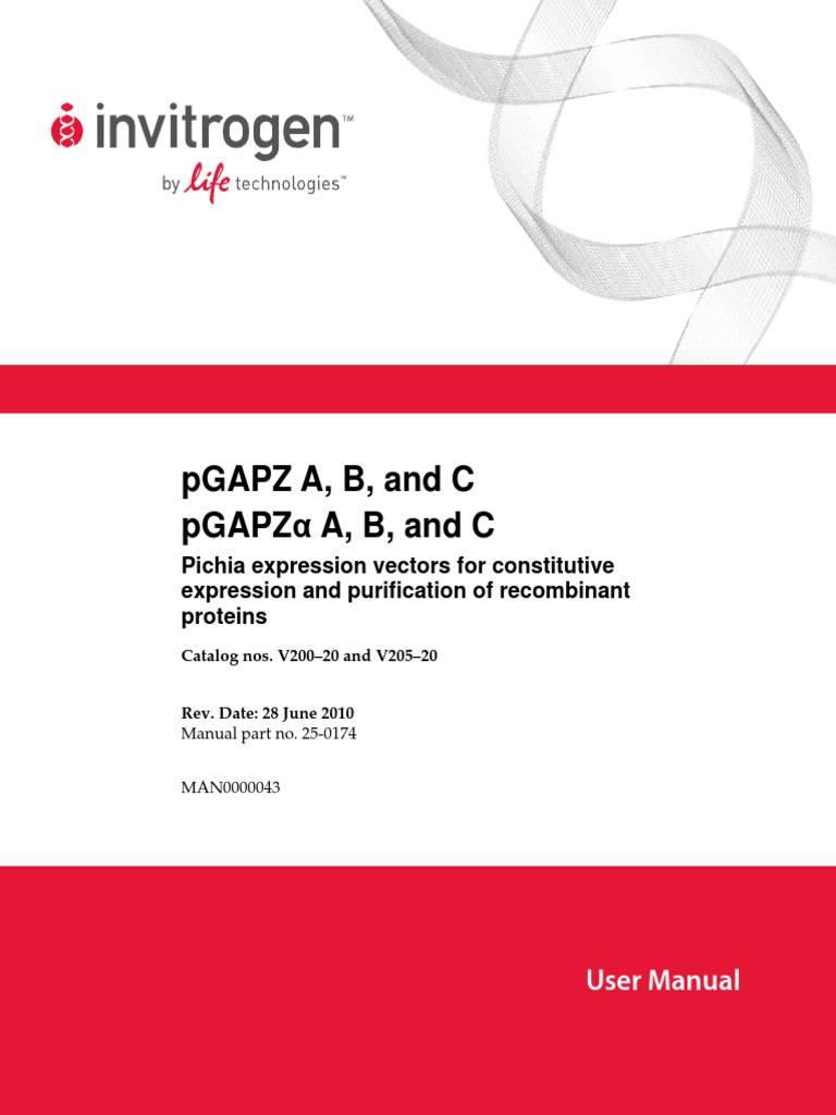 Pgapz Manual Invitrogen | PDF | Open Reading Frame | Transformation ...