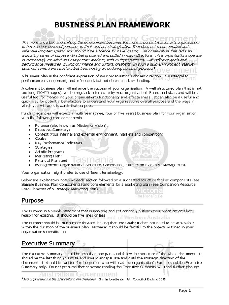 Business Plan Framework Template | PDF | Marketing Strategy | Risk ...