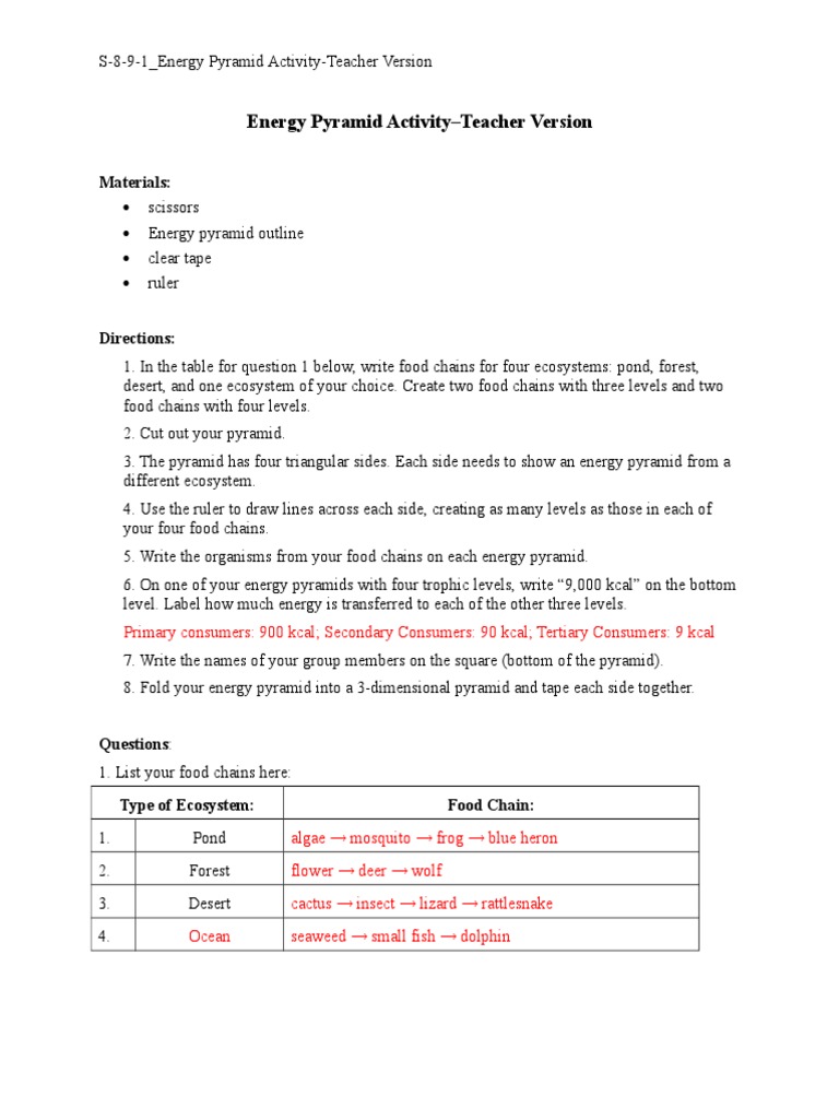 Energy Pyramid Activity-Teacher Version: Materials | PDF | Food Web ...