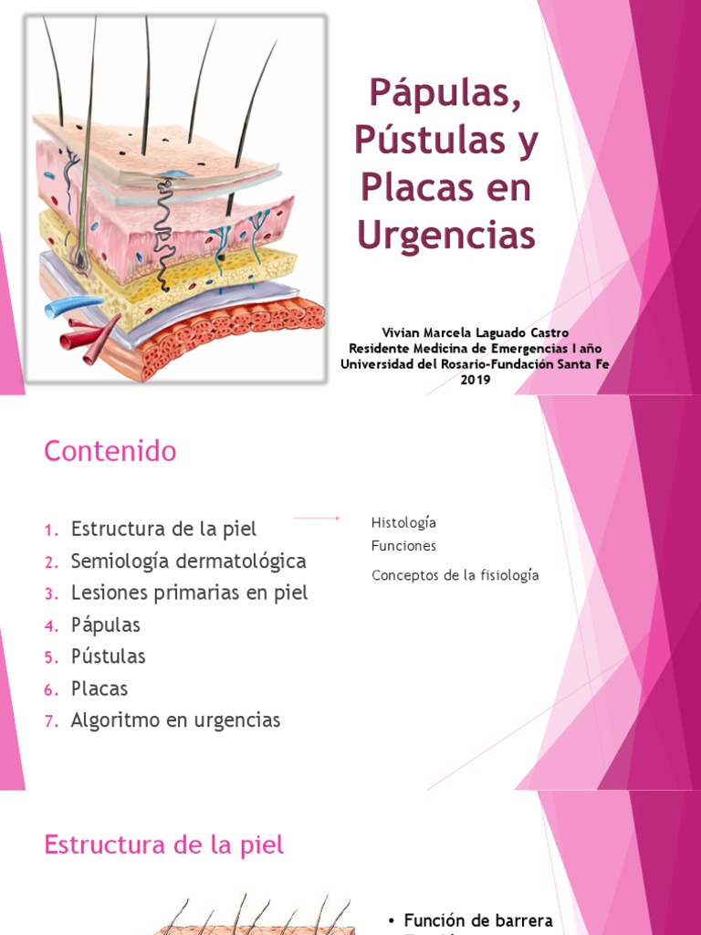Papulas Pustulas | PDF | Piel | Condiciones cutáneas