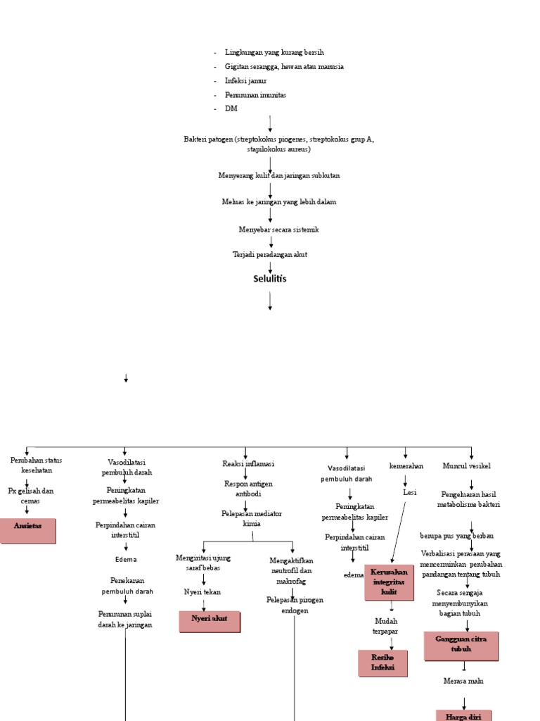 Patofisiologi Selulitis | PDF