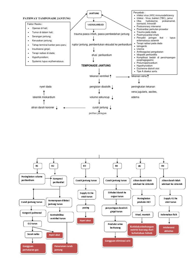 Pathway Tamponade Jantung | PDF