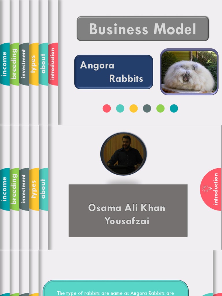 Business Model For Angora Rabbit Farming | PDF | Rabbit | Economies