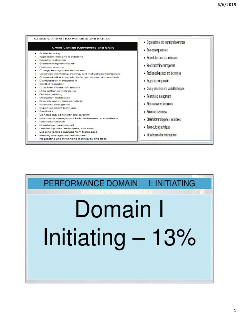Performance Domain I: Initiating | PDF | Decision Making | Strategic ...