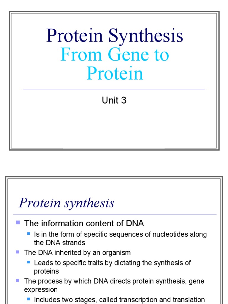 Protein Synthesis: Transcription & Translation | PDF | Translation ...