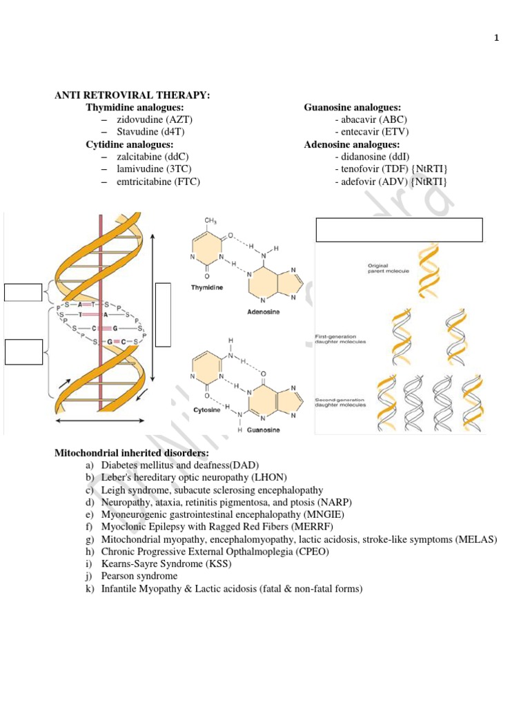 Biochemistry Handout 2019 | PDF | Glycolysis | Lipid