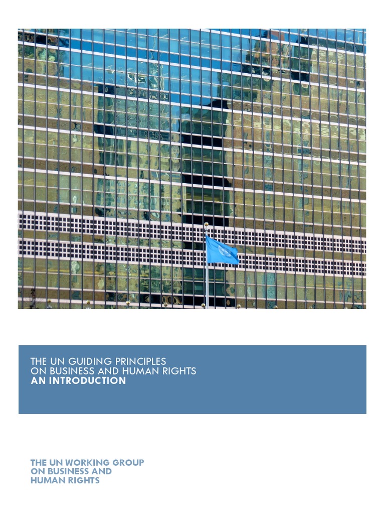 The Un Guiding Principles On Business and Human Rights: An Introduction ...
