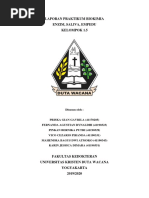 Uji Biokimia Vitamin: Laporan Praktikum | PDF | Pengembangan Diri ...