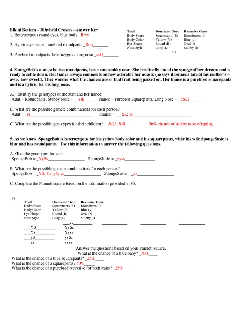 Bikini Bottom Dihybrid Crosses Key | PDF | Dominance (Genetics) | Genetics