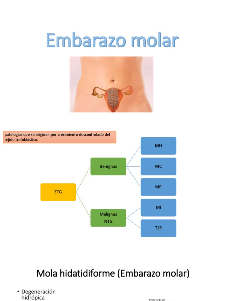 Embarazo Molar | PDF | Epidemiología | Rtt