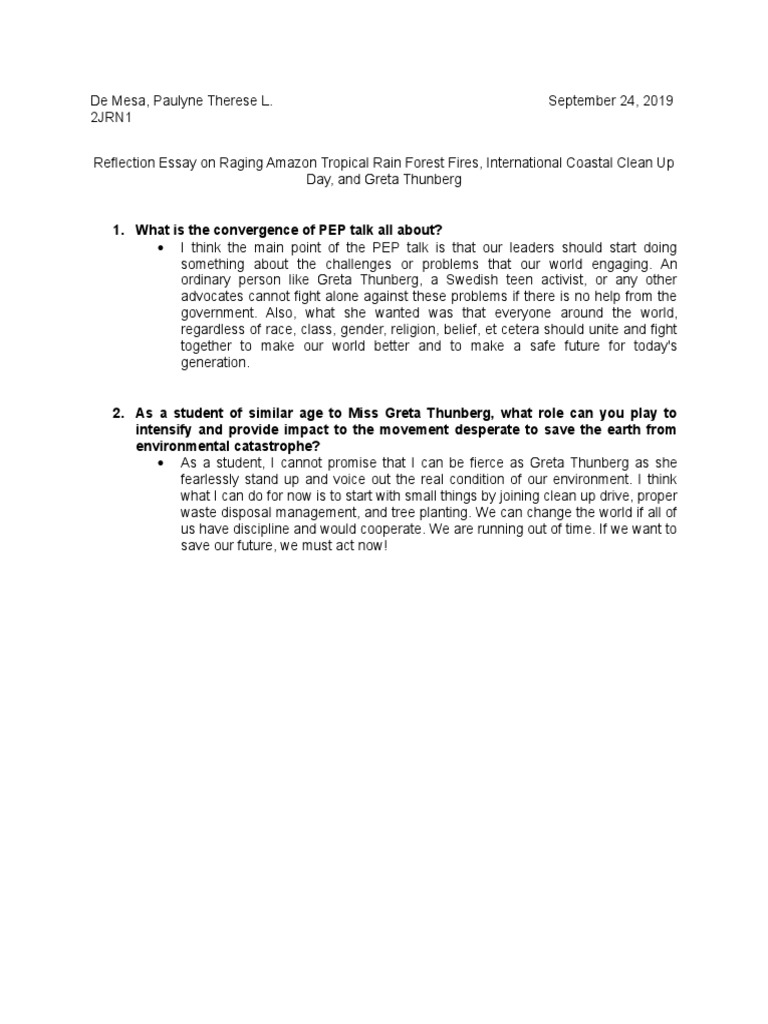 STS Reflection Essay | PDF