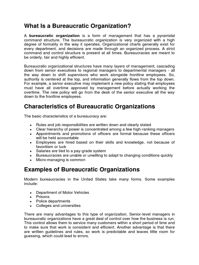 Bureacratic Organization | PDF | Organizational Structure | Bureaucracy