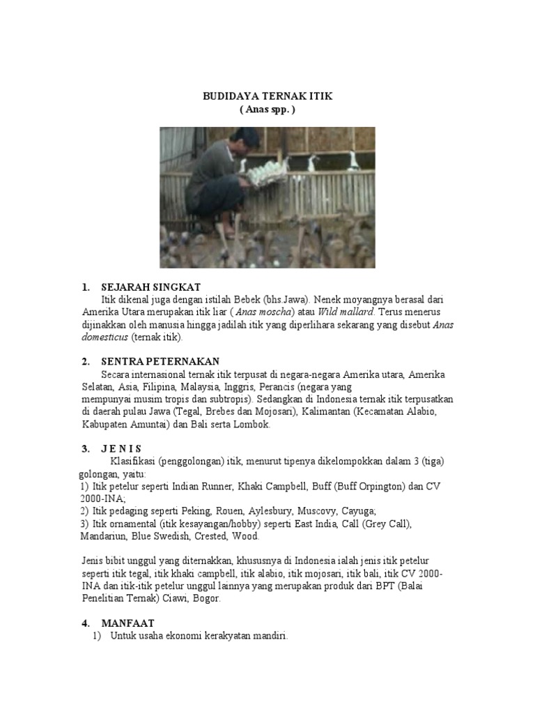 Budidaya Ternak Itik | PDF