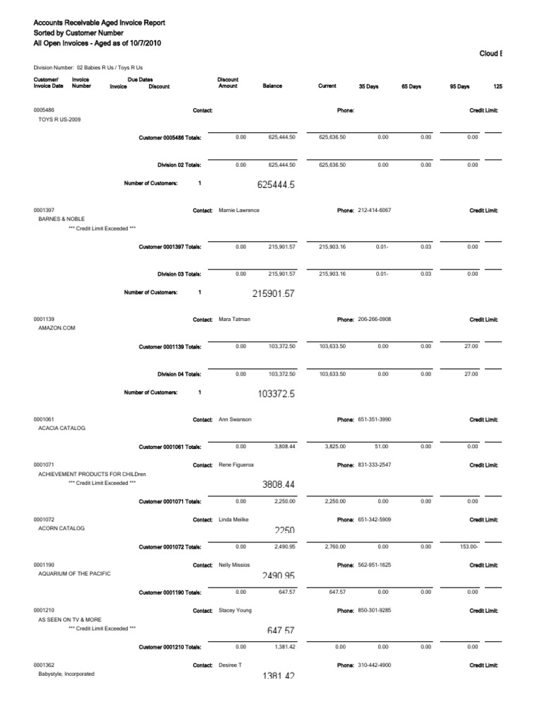 Aged Invoice Report Overview | PDF | Business Economics | Retail ...