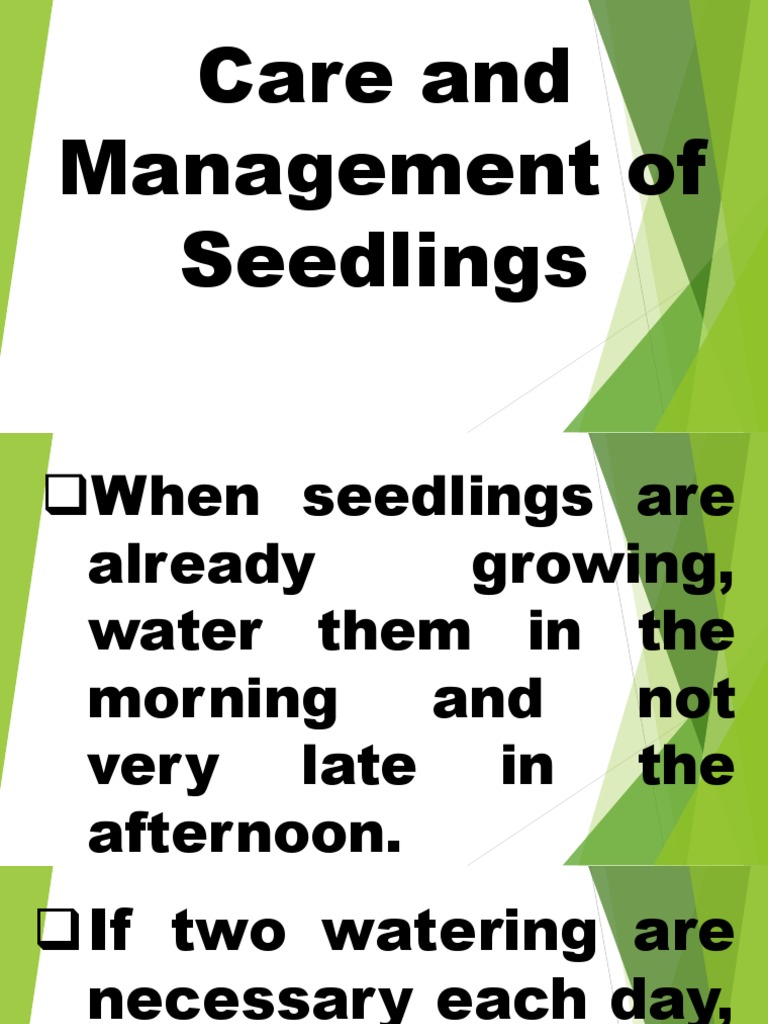 3rd Lesson 1-Seedlings Care and Management | PDF