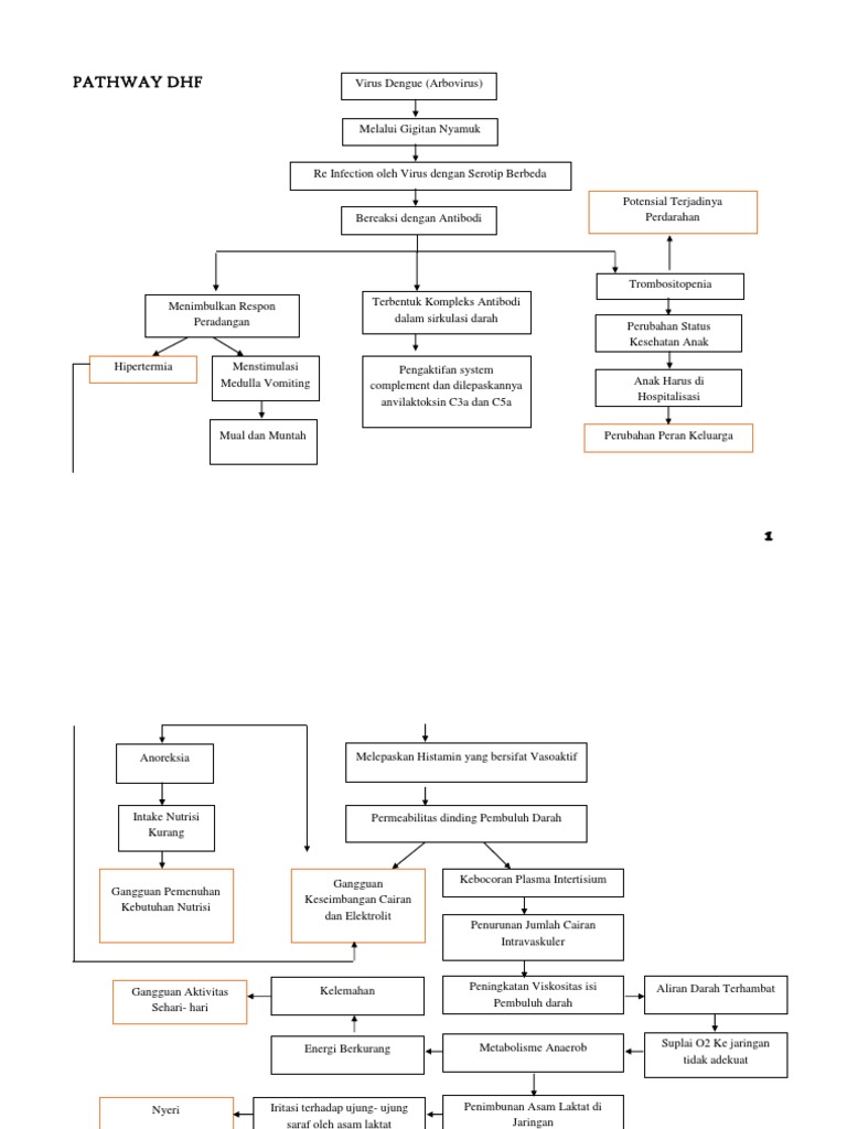 Pathway Dengue Shock Syndrome | PDF
