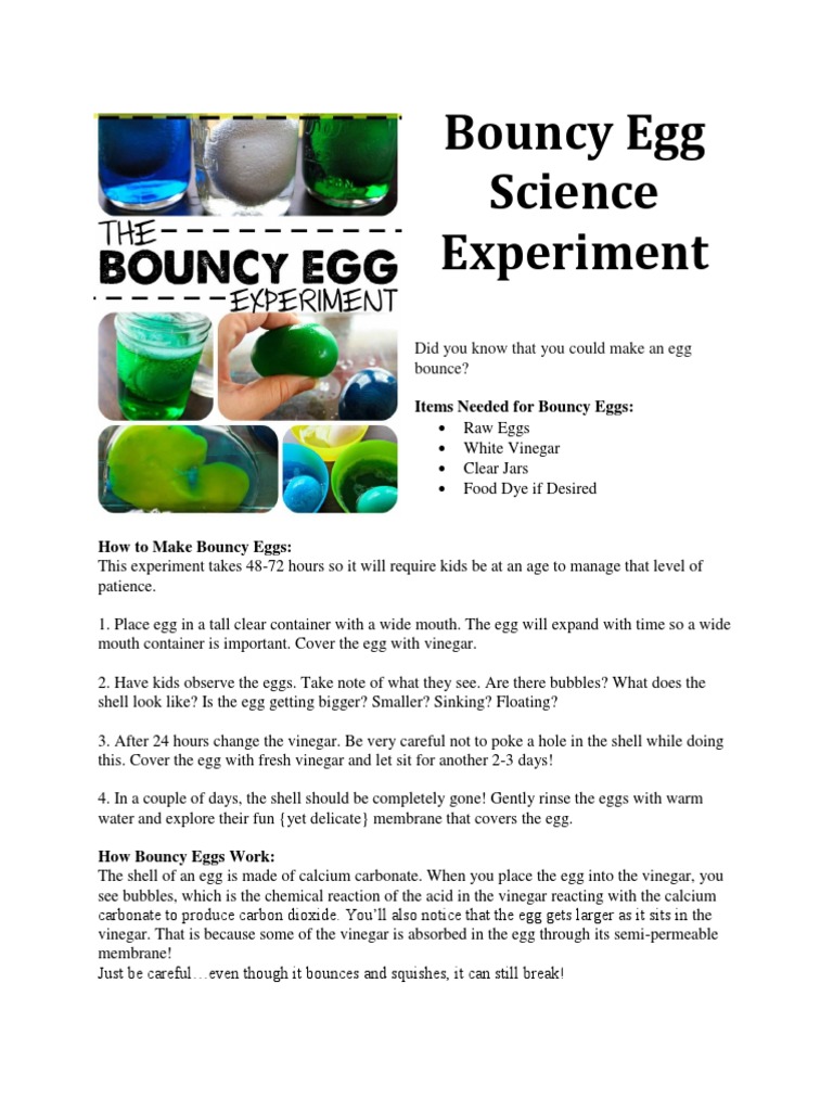 Bouncing Egg Experiment | PDF | Egg | Root