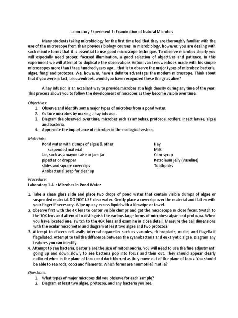 Hay Infusion Microbe Observation Guide | PDF | Bacteria | Microorganism