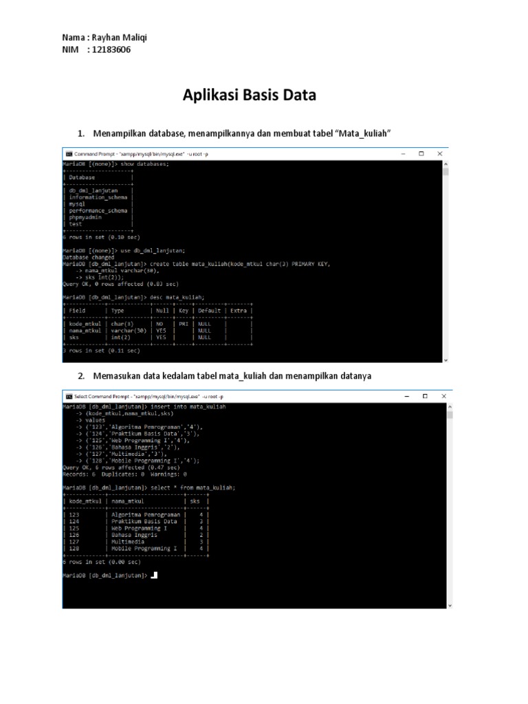 Aplikasi Basis Data Pertemuan 5 (Rayhan Maliqi) | PDF | Karier & Perkembangan | Bisnis