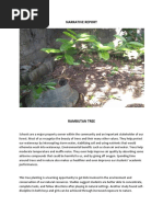 Buntal Hat Weav-WPS Office | PDF