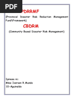 CBDRRM | PDF