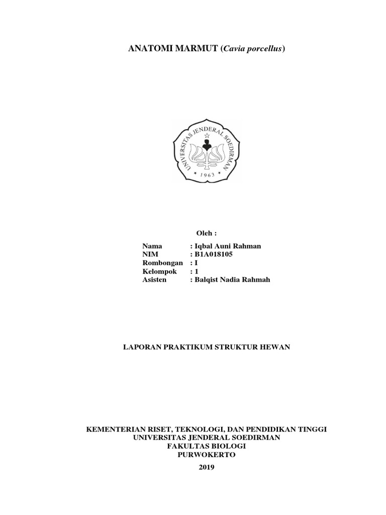 Laporan Praktikum Acara Vii Anatomi Marmut | PDF