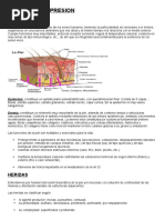 Estadios de La Ulcera Por Presion | PDF | Piel | Herida