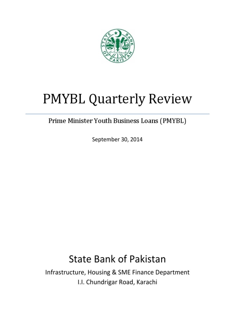 Youth Business Loan Insights | PDF | Small And Medium Sized Enterprises ...
