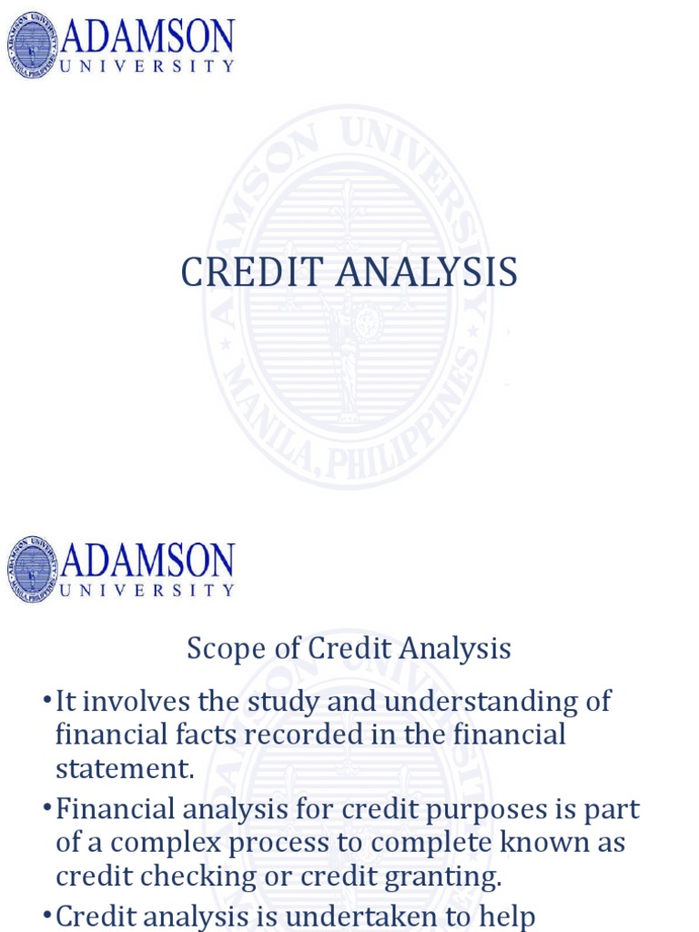 Chapter 6 Credit Analysis | PDF | Credit History | Debt