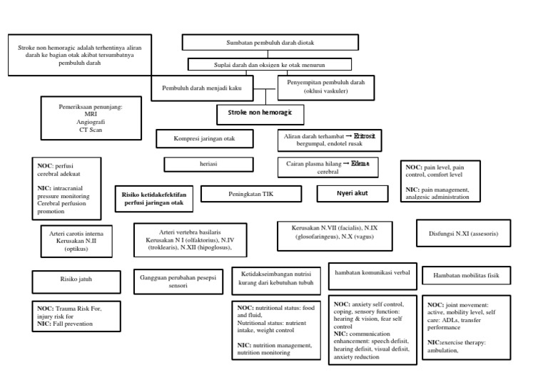 Stroke Hemoragik Main Map | Download Free PDF | Stroke | Epidemiology