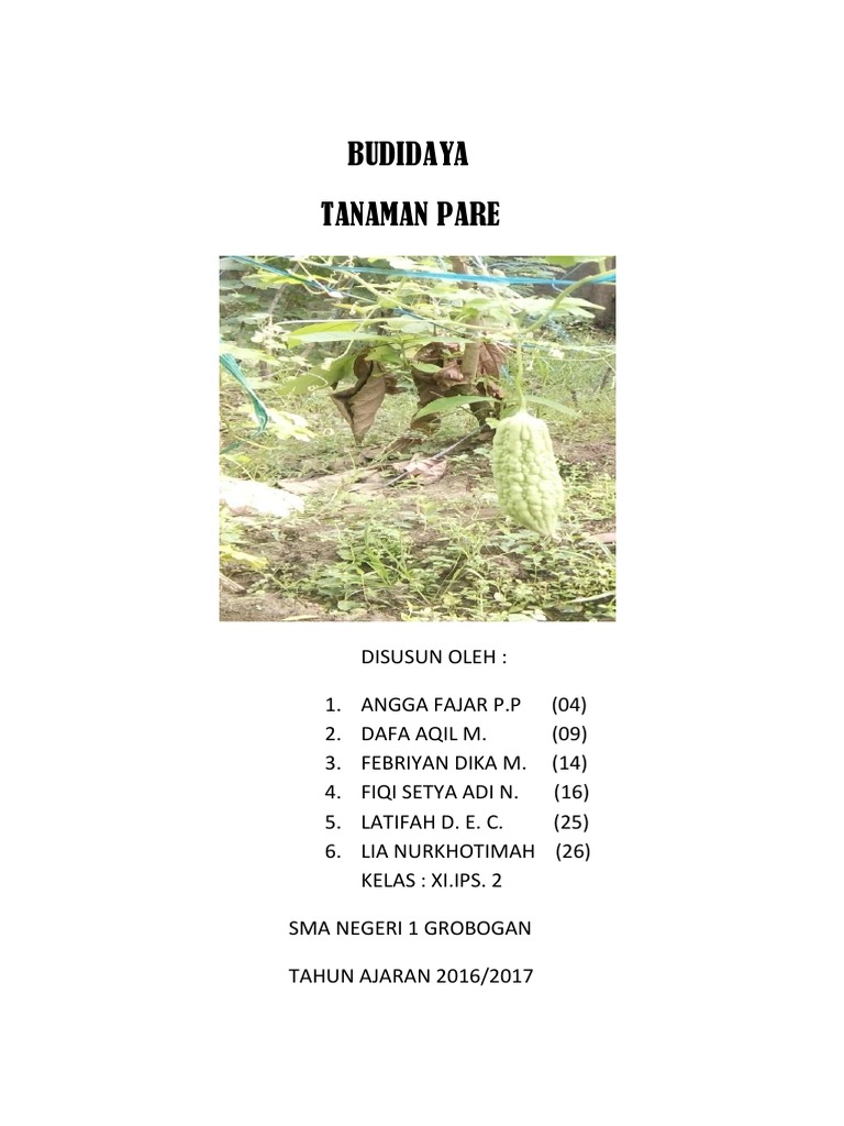 Panduan Budidaya Tanaman Pare | PDF
