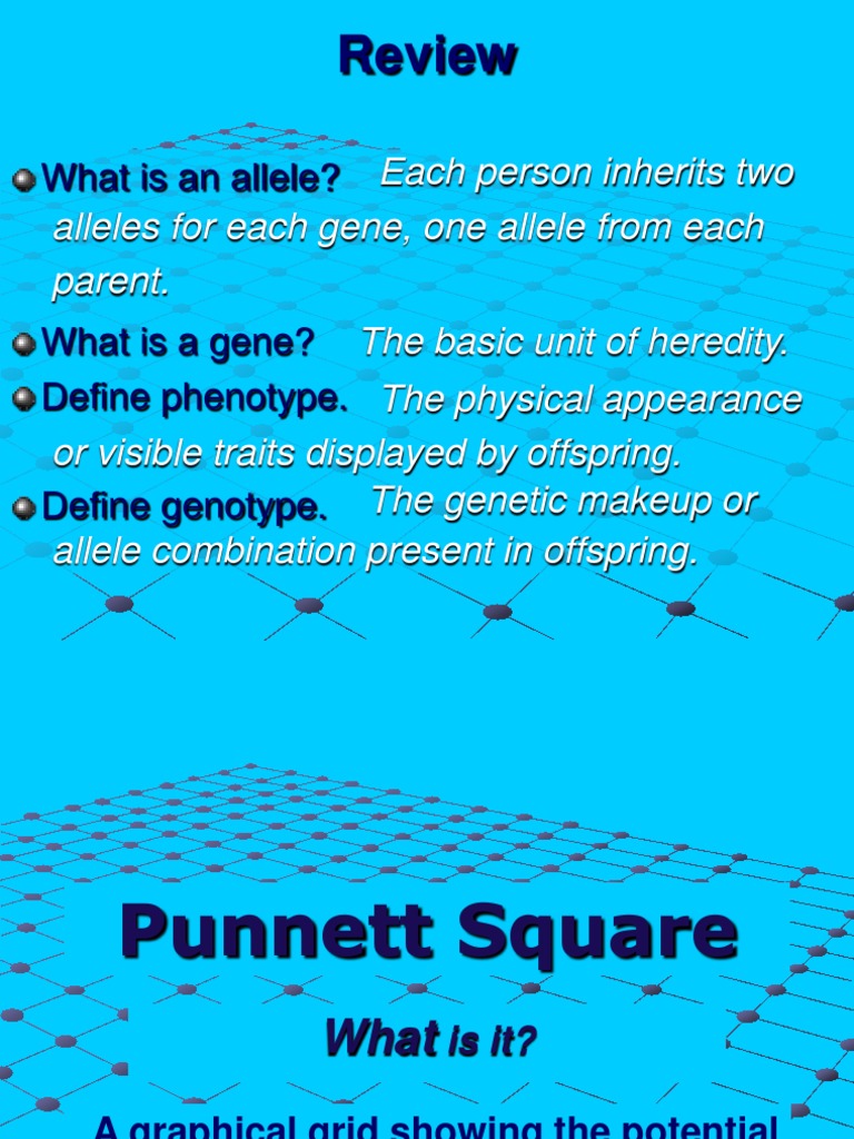 5b. Punnett Square Lesson | PDF | Dominance (Genetics) | Allele
