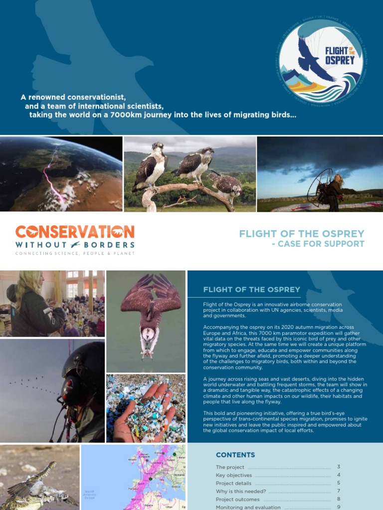 Osprey | PDF | Bird Migration | Conservation Biology