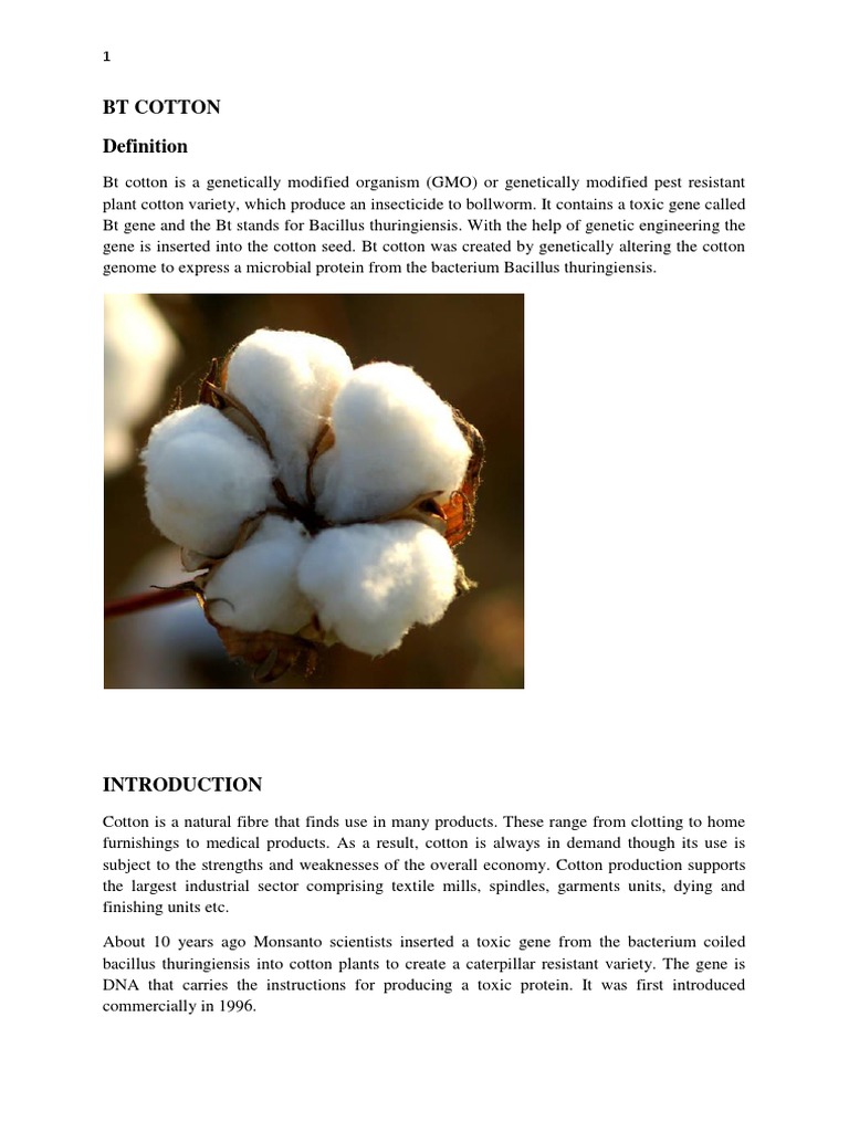 BT Cotton | PDF | Cotton | Insecticide