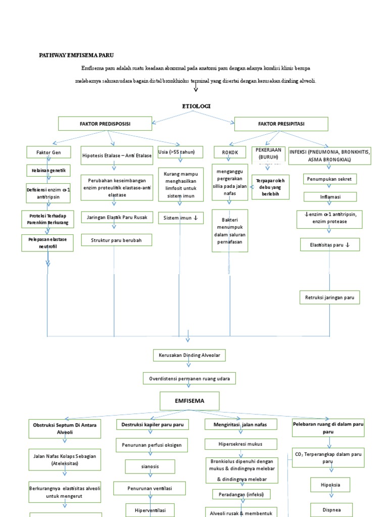 Patways Emfisema | PDF