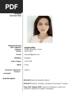 CV Format Shqip PDF | PDF