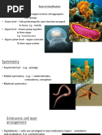 Animal Classification Chart - Invertebrates | PDF | Invertebrate | Zoology