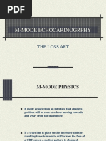 Normal 2D Echocardiogram Report | PDF | Heart Valve | Diastole